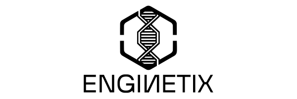 All Products – ENGINETIX PERFORMANCE